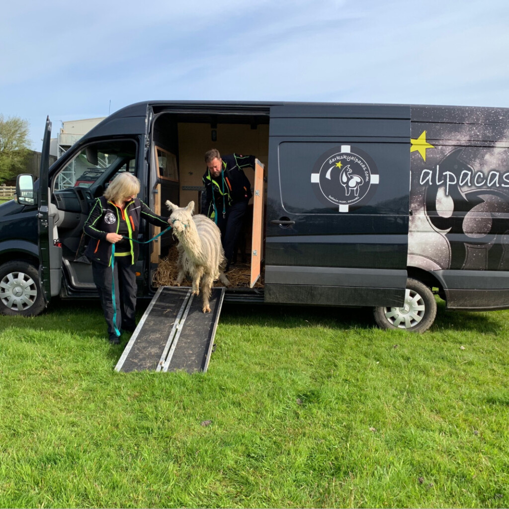 Animal Transport Conversions - Vehicle Accessories Ltd
