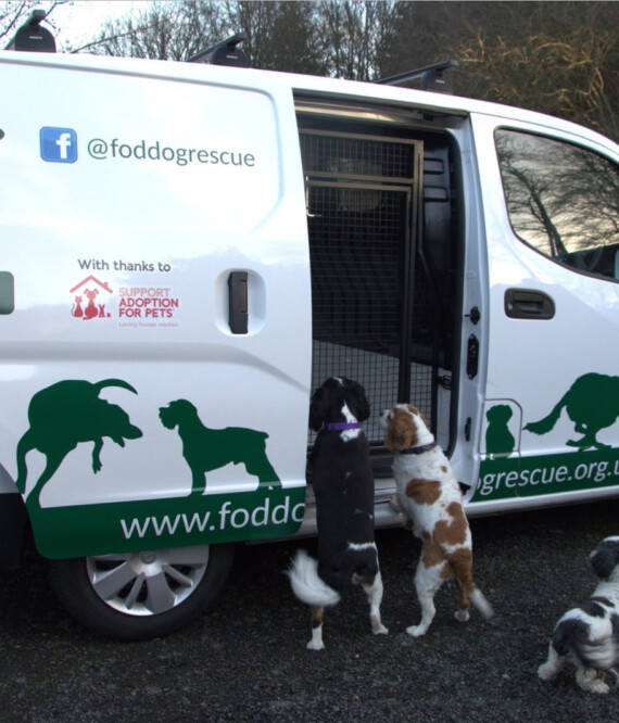 Animal Transport Conversions - Vehicle Accessories Ltd